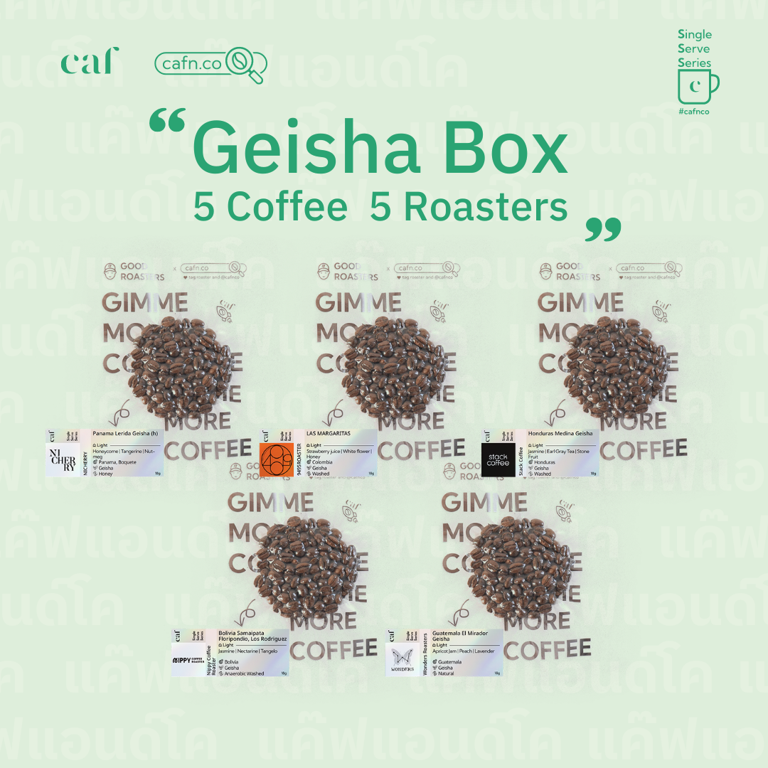 Geisha Boxset -Thailand Coffee Fest 2024 - cafExclusive | cafn.co